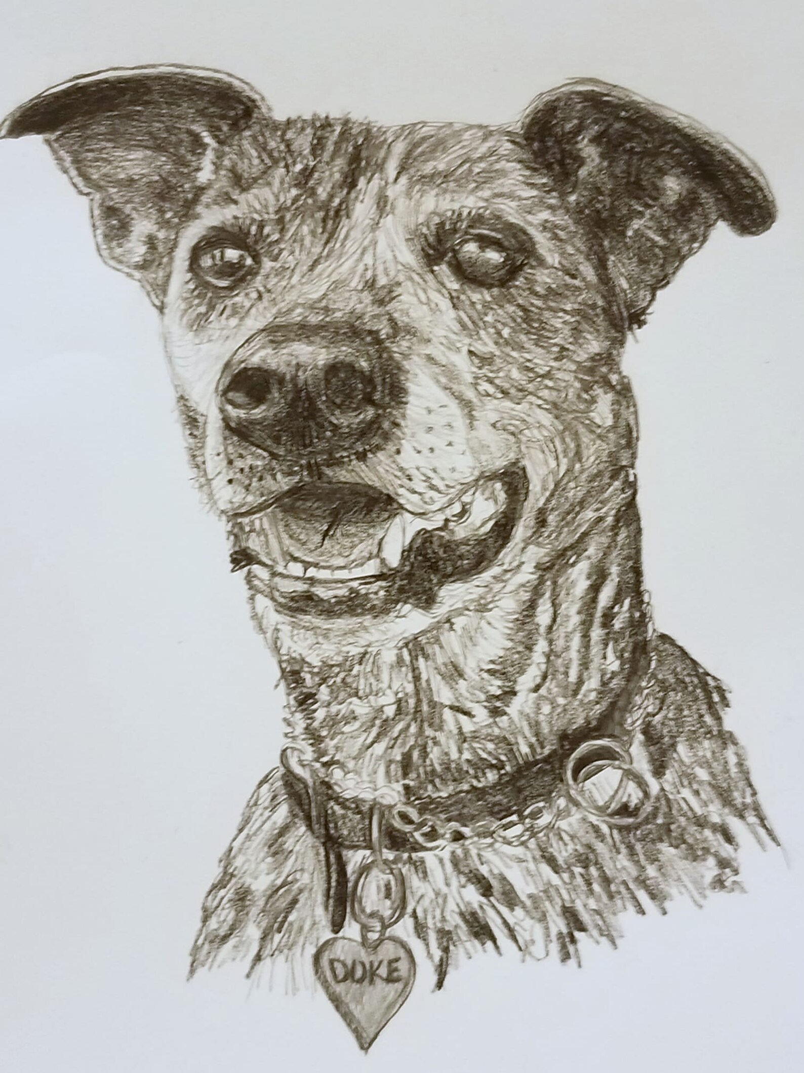 Dog Portrait Personalized Dog Drawing Pet Memorial - Etsy