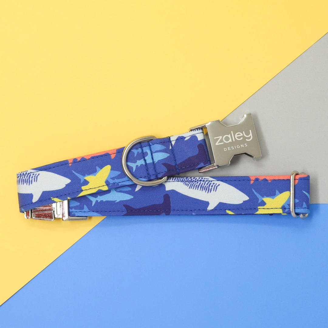 Ocean Dog Collar | Great White Sharks Dog Collar | Blue Dog Collar ...