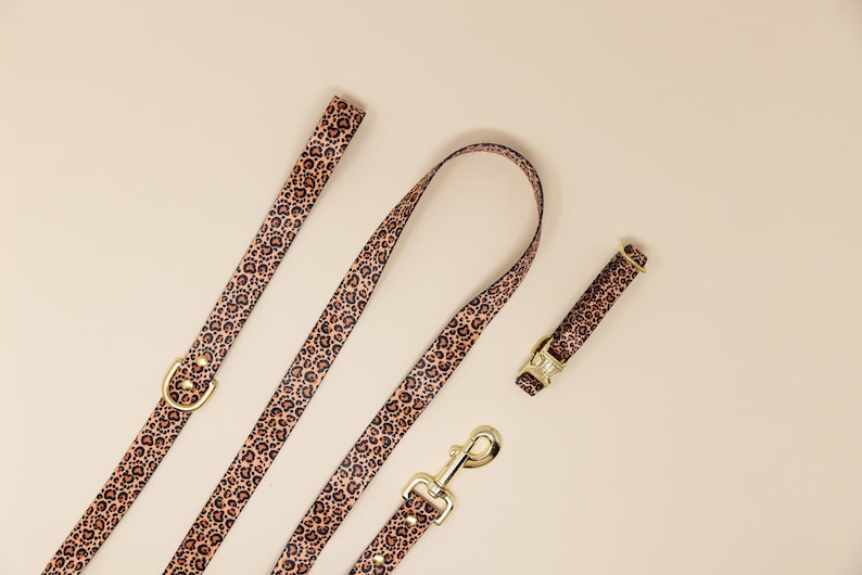 Paw Print Leopard Webbing Dog Leash - Cheetah, Webbing, Heavy Duty, Dog ...
