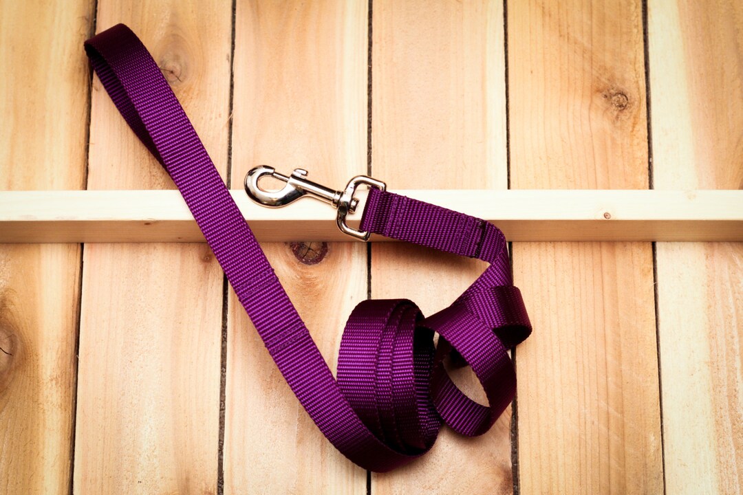 Dog Leash - Webbing Dog Lead, Heavy Duty, Long Leash, Long Lead, Purple ...