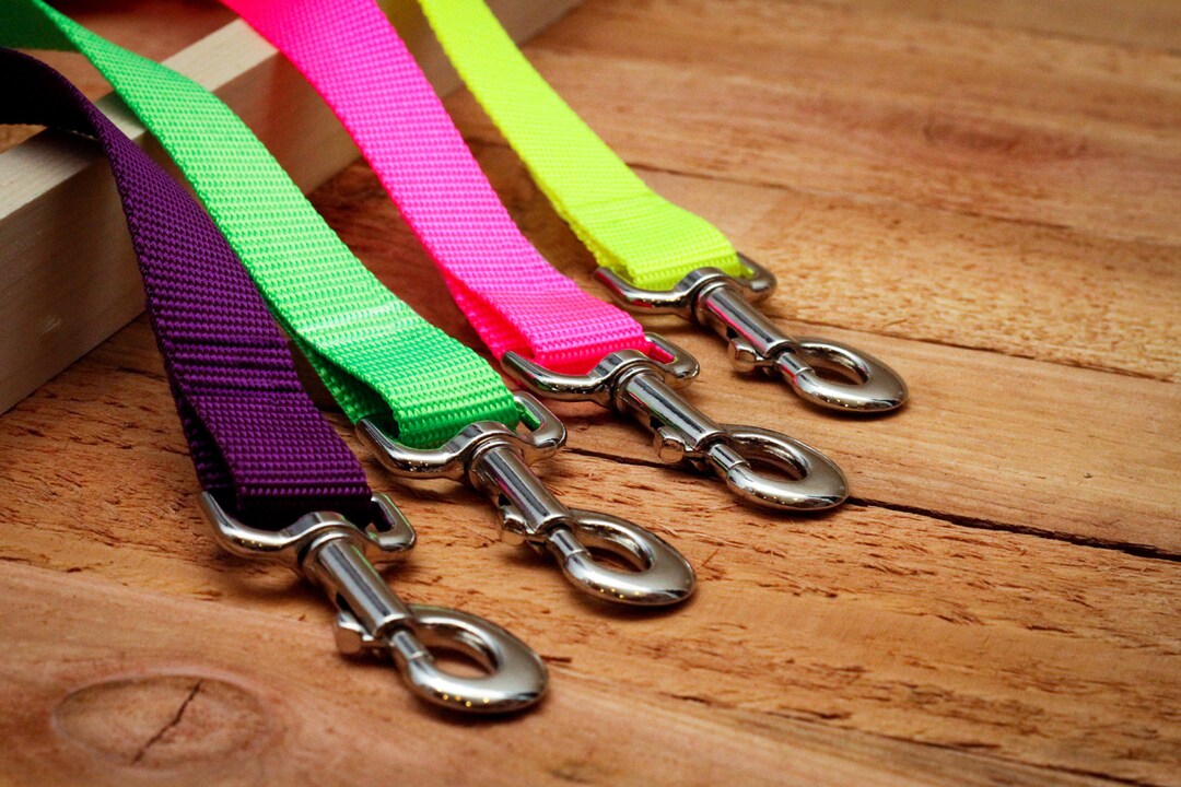 Dog Leash - Neon, Webbing, Heavy Duty, Multiple Color Options - Etsy