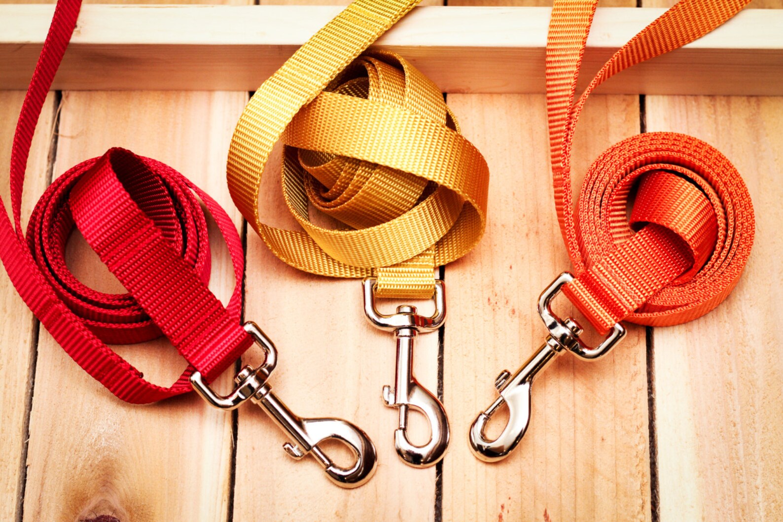 Dog Leash - Webbing Dog Lead, Heavy Duty, Long Leash, Long Lead, Orange ...