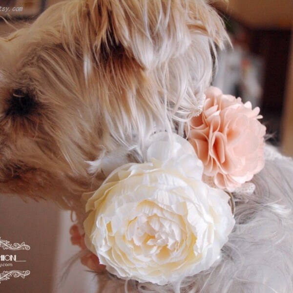 Wedding Dog Collar - Etsy