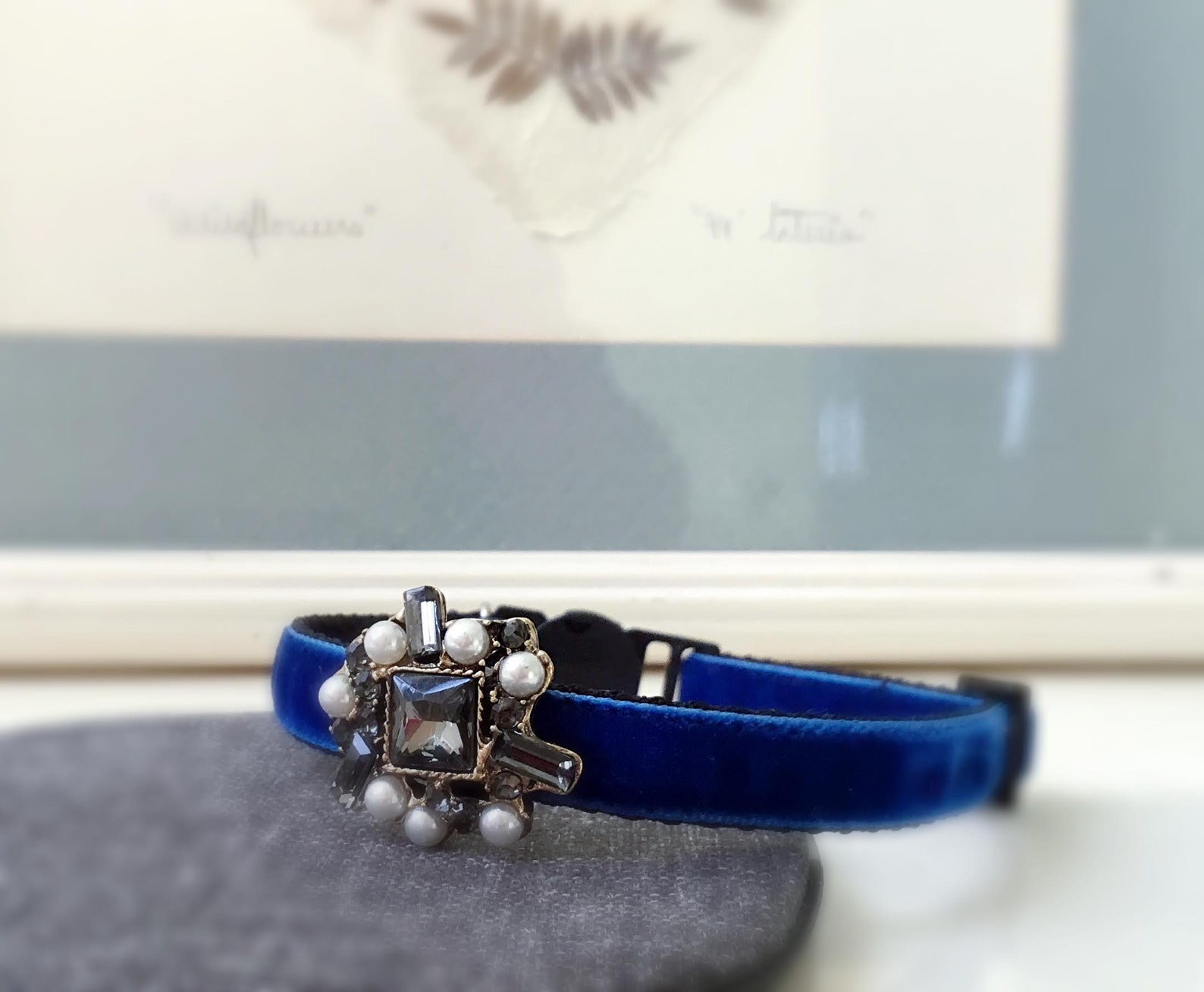 Luxury Cat Collar Rhinestone Cat Collarroyal Blue Velvet Cat - Etsy