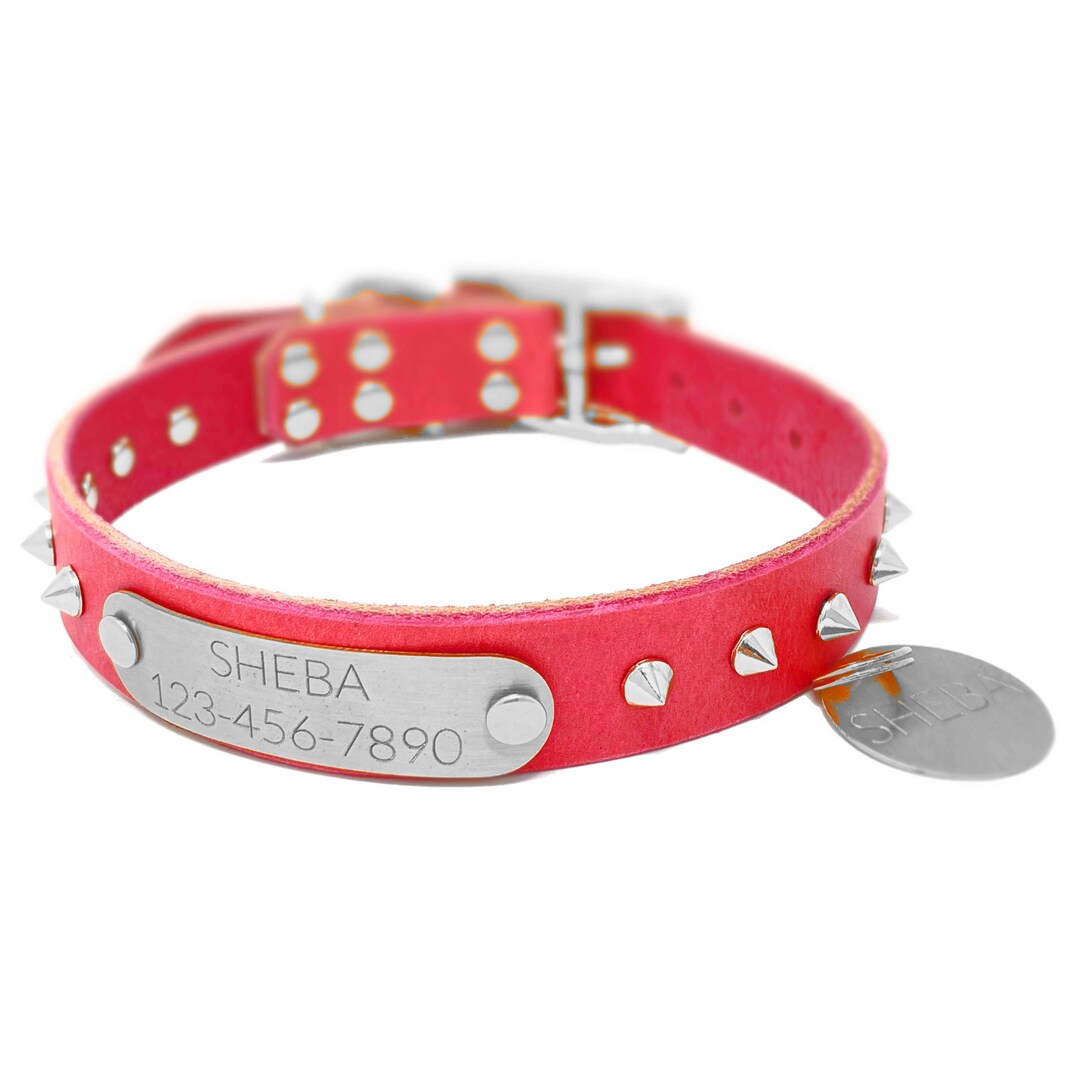 Personalized Spiked Pink Leather Dog Collar: Engraved Nameplate & ID ...