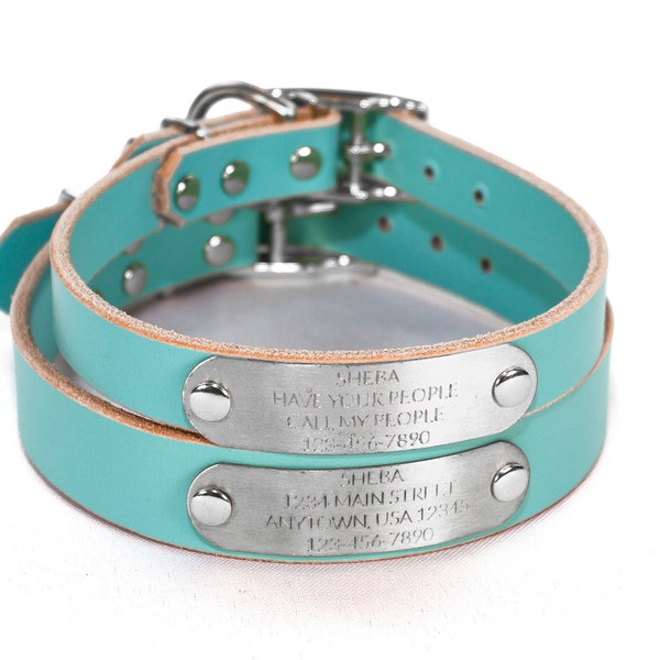 Turquoise Dog Collar - Etsy