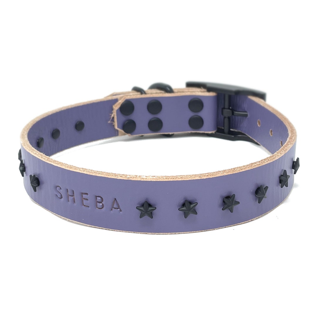 Personalized Periwinkle Leather Dog Collar: Star Rivets, Matte Black ...