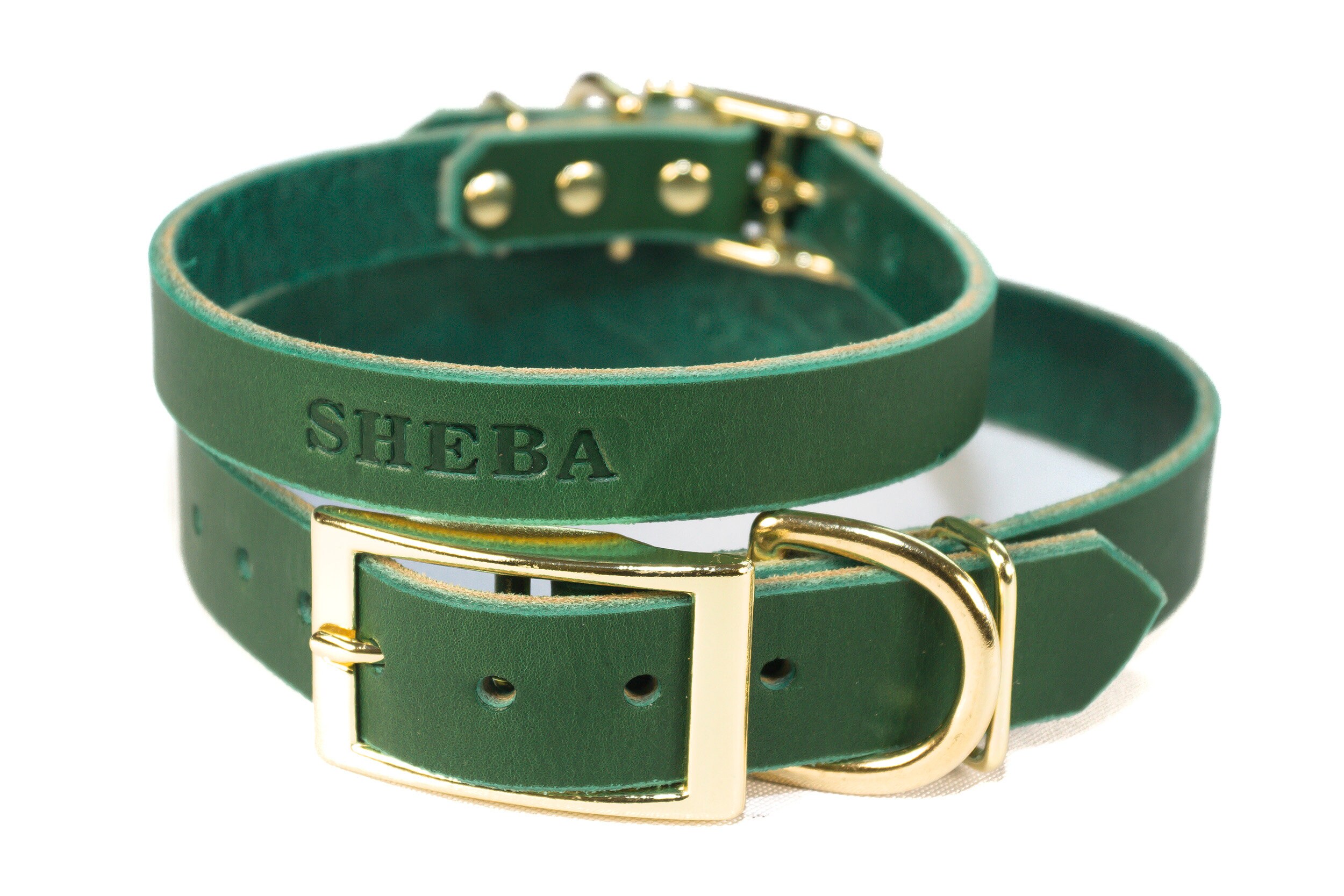 Personalized Emerald Green Leather Dog Collar Brass / Gold | Etsy