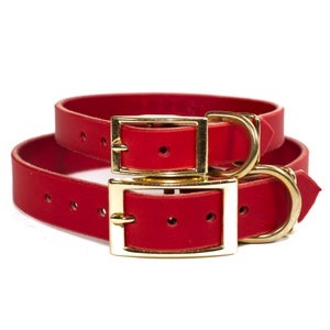 Personalized Red Leather Dog Collar, Brass / Gold Tone Buckle, With ...