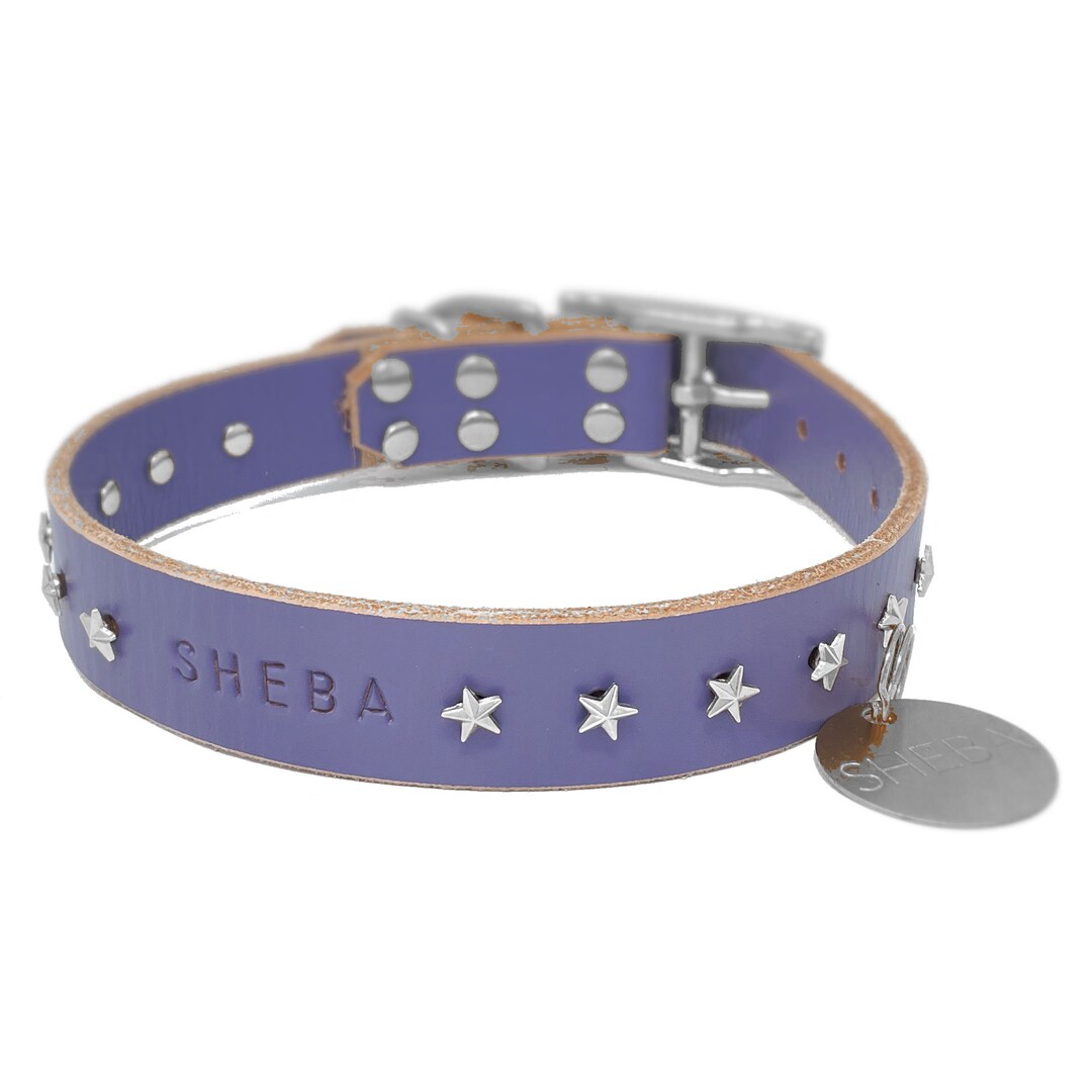 Personalized Periwinkle Leather Dog Collar: Star Rivets & Hanging ID ...