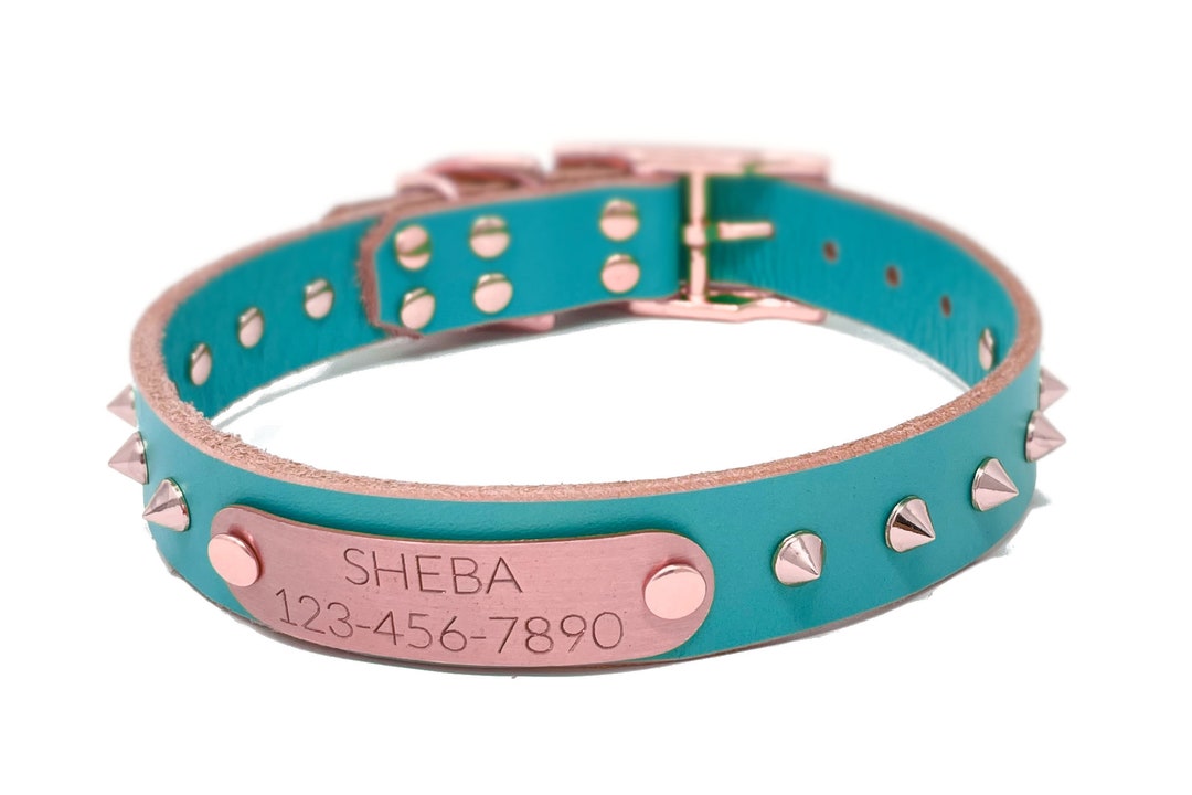 Personalized Spiked Light Blue Leather Dog Collar Copper / - Etsy