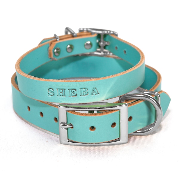 Turquoise Dog Collar - Etsy
