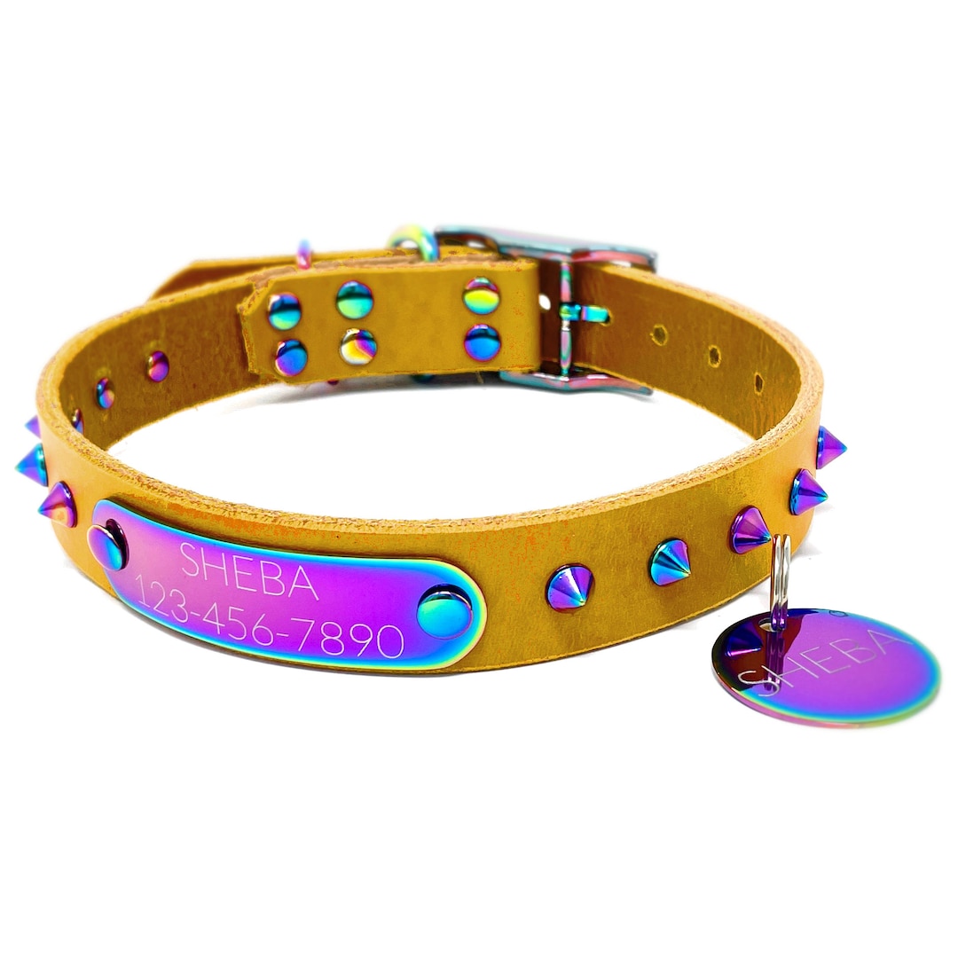 Personalized Spiked Mustard Yellow Leather Dog Collar, Rainbow Metal ...