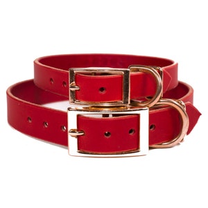 Personalized Red Leather Dog Collar, Copper / Rose Gold Tone Buckle ...
