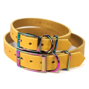 Personalized Spiked Mustard Yellow Leather Dog Collar, Rainbow Metal ...