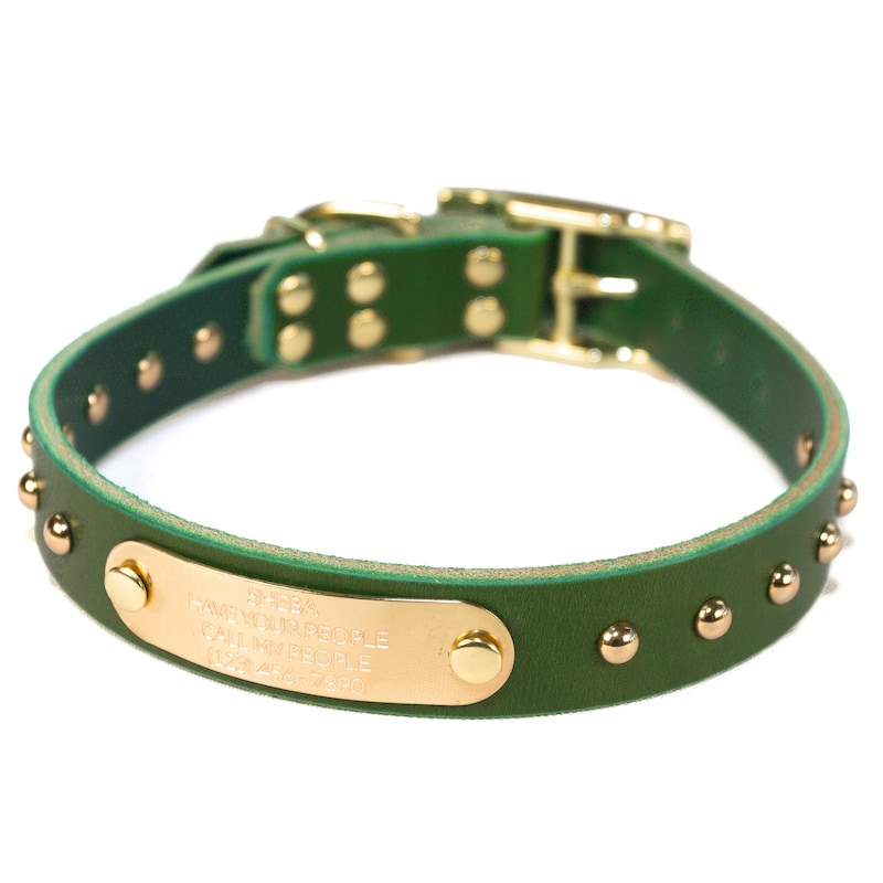 Green Leather Collar - Etsy