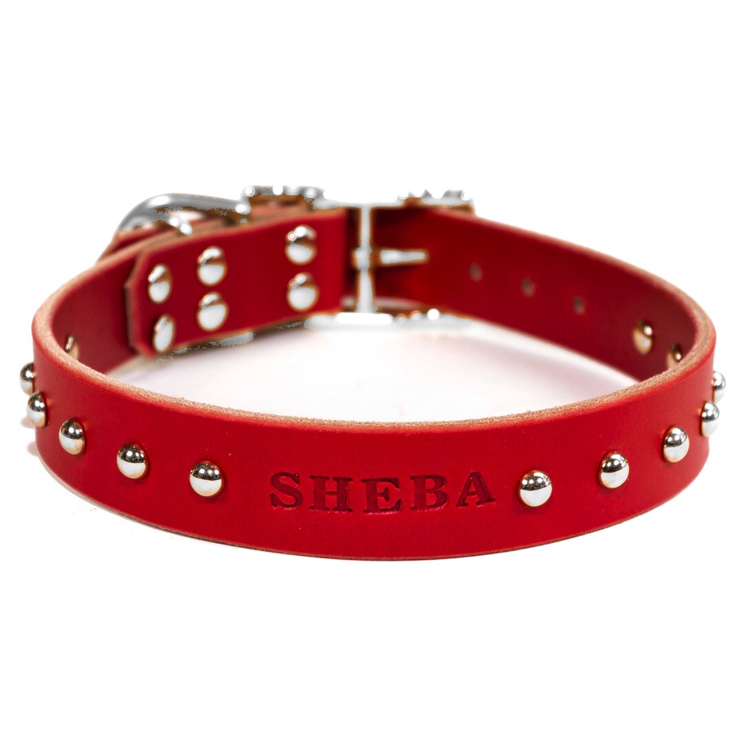 Studded Personalized Red Leather Dog Collar, With Nickel / Silver Tone ...