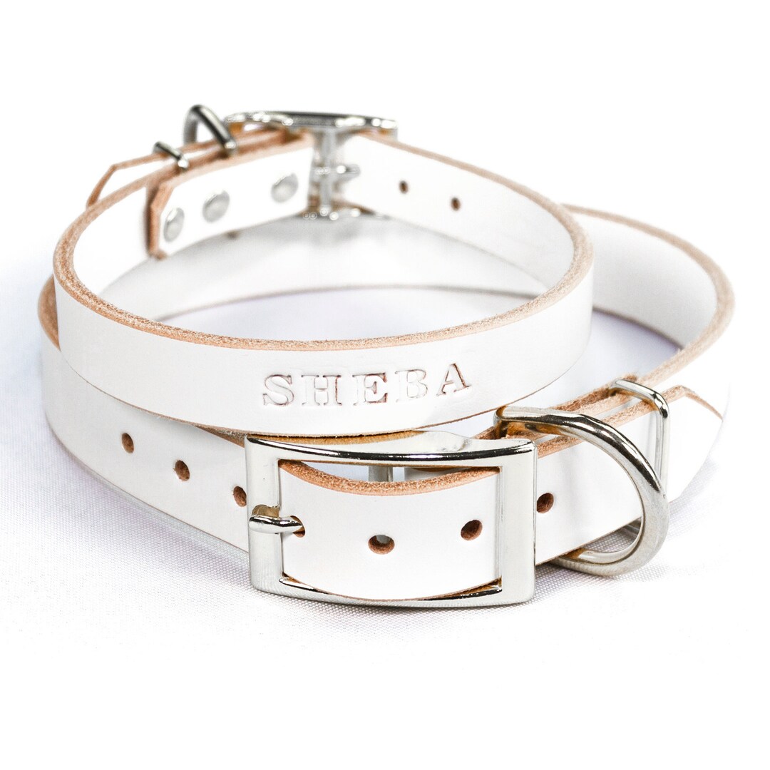 Personalized White Leather Dog Collar, Nickel / Silver Tone Buckle ...