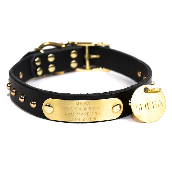 Brass Dog Collar - Etsy