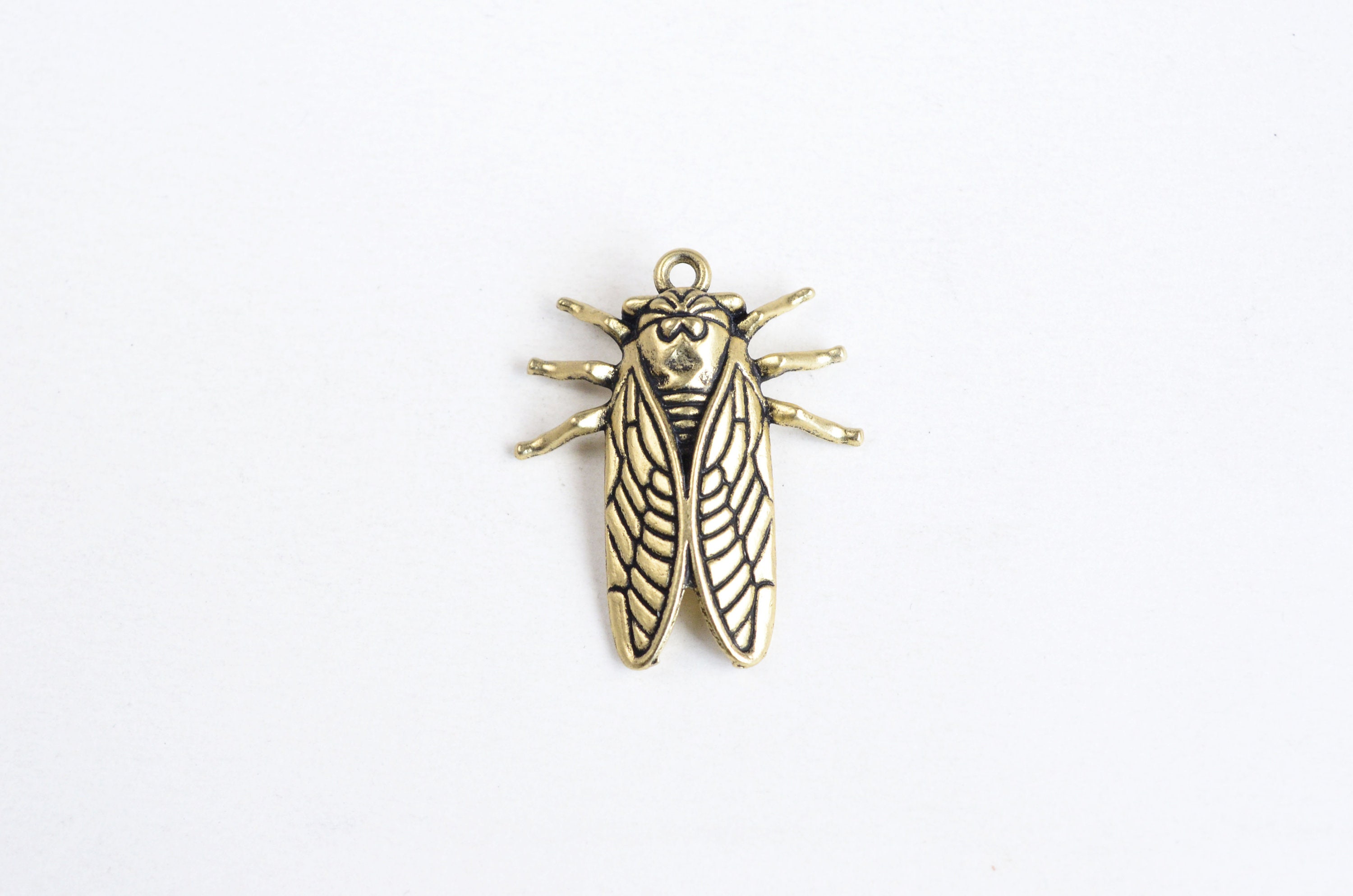 Cicada Insect Charms Matte Antique Gold Tone Bug Charms 27mm | Etsy