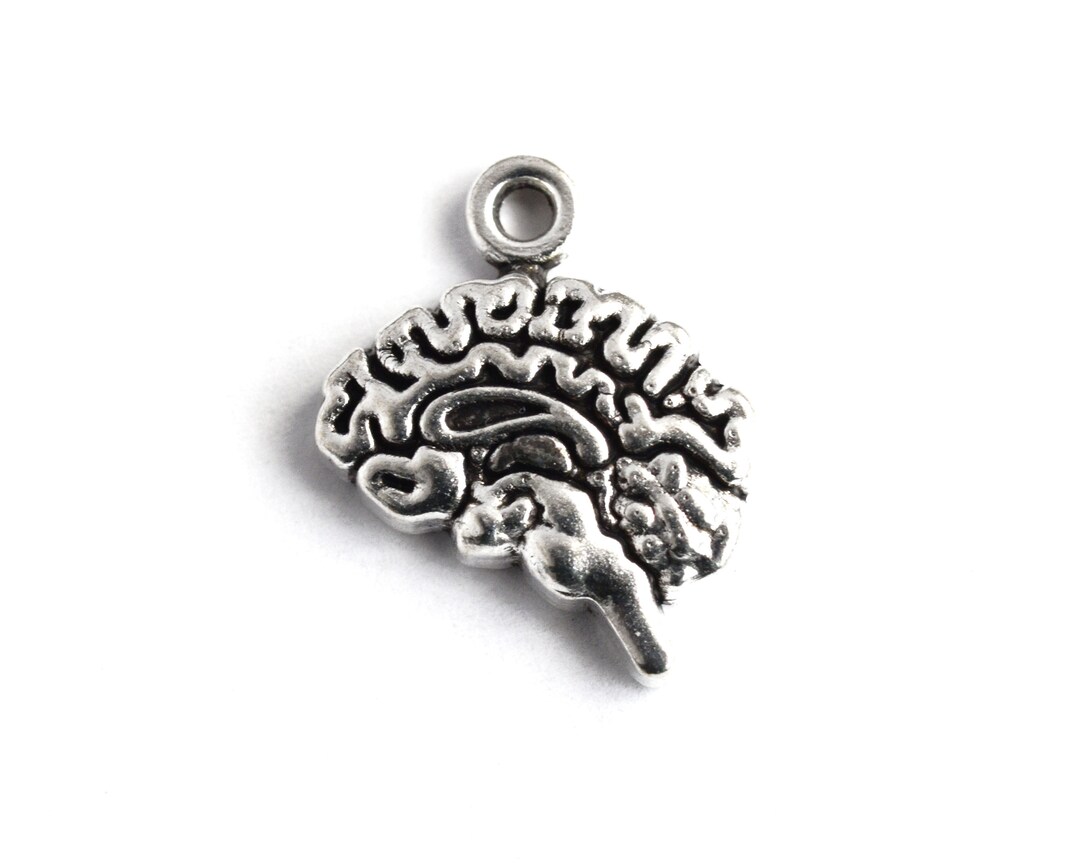 5 Brain Charms, Silver Tone Human Anatomy Pendants, 15x14mm (1616) - Etsy