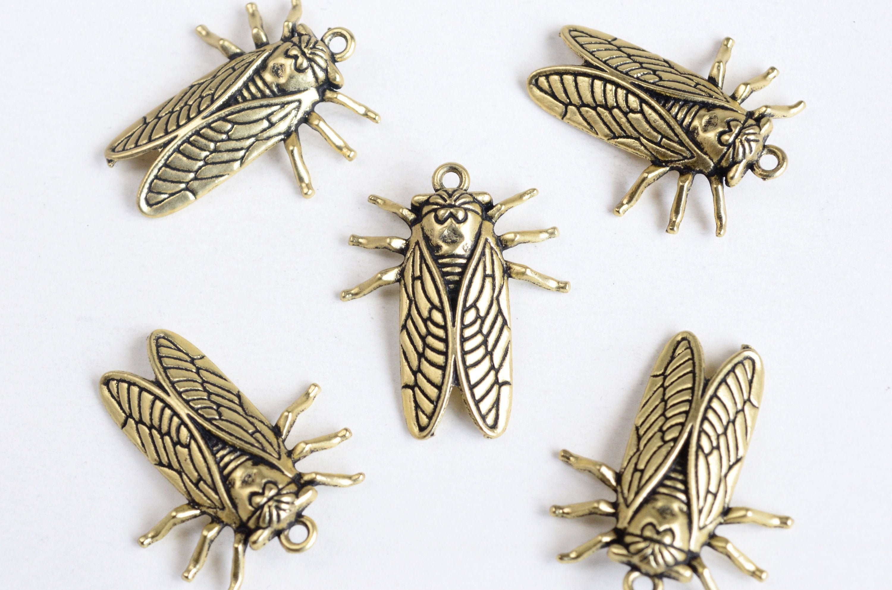 Cicada Insect Charms Matte Antique Gold Tone Bug Charms 27mm | Etsy