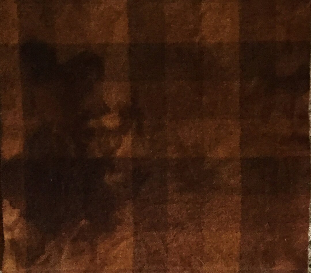 SQUIRRELS and NUTS Hand Dyed Fat Quarter for Rug Hooking and - Etsy