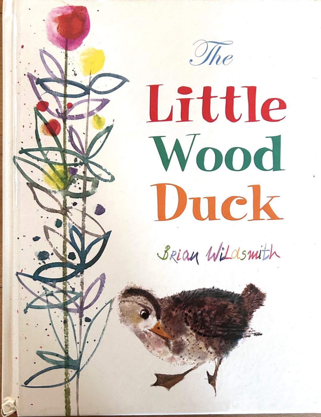 The Little Wood Duck by Brian Wildsmith - Etsy
