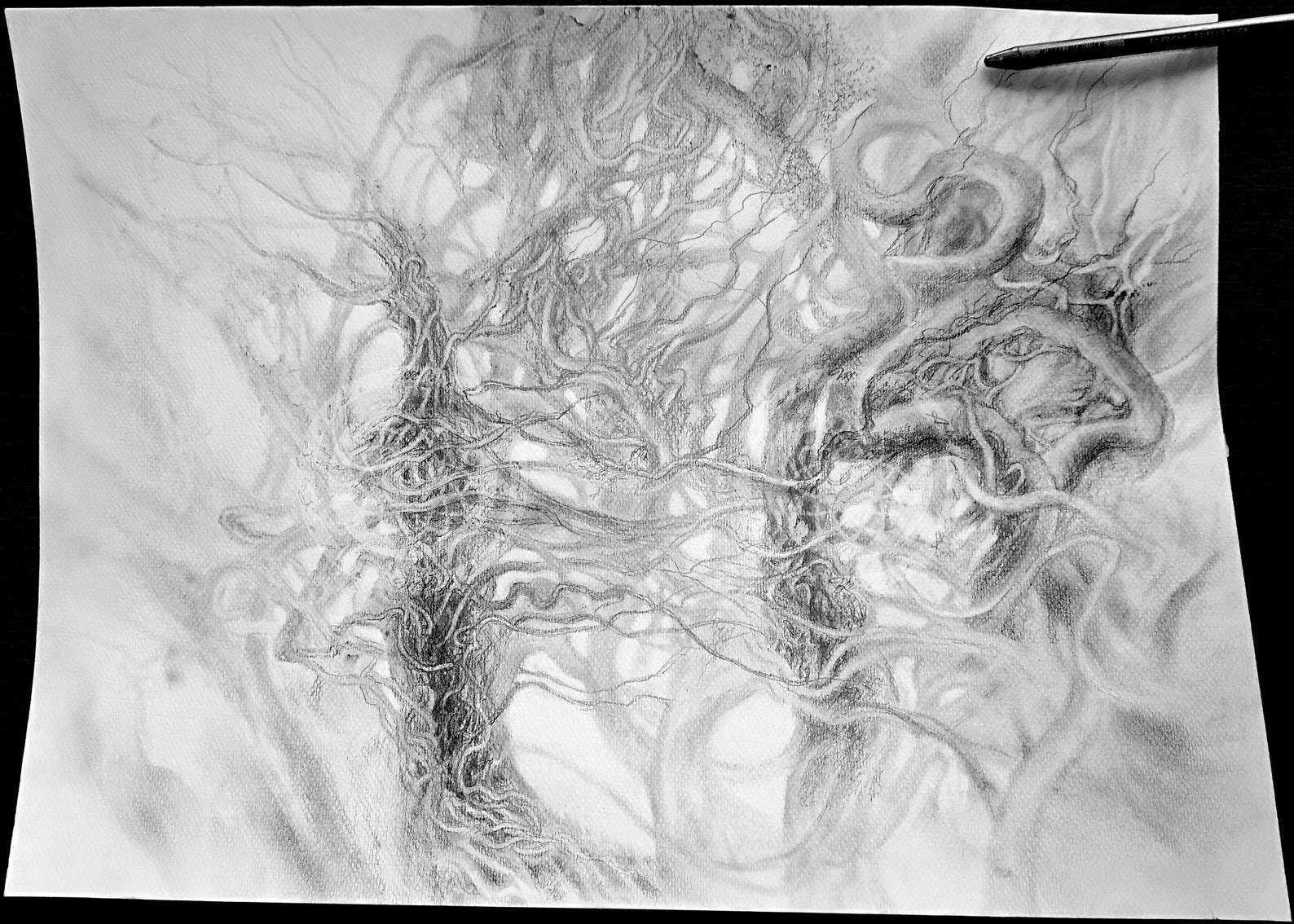Forest Landscape Mystic Tree Pencil Drawing Surreal Illustration ...