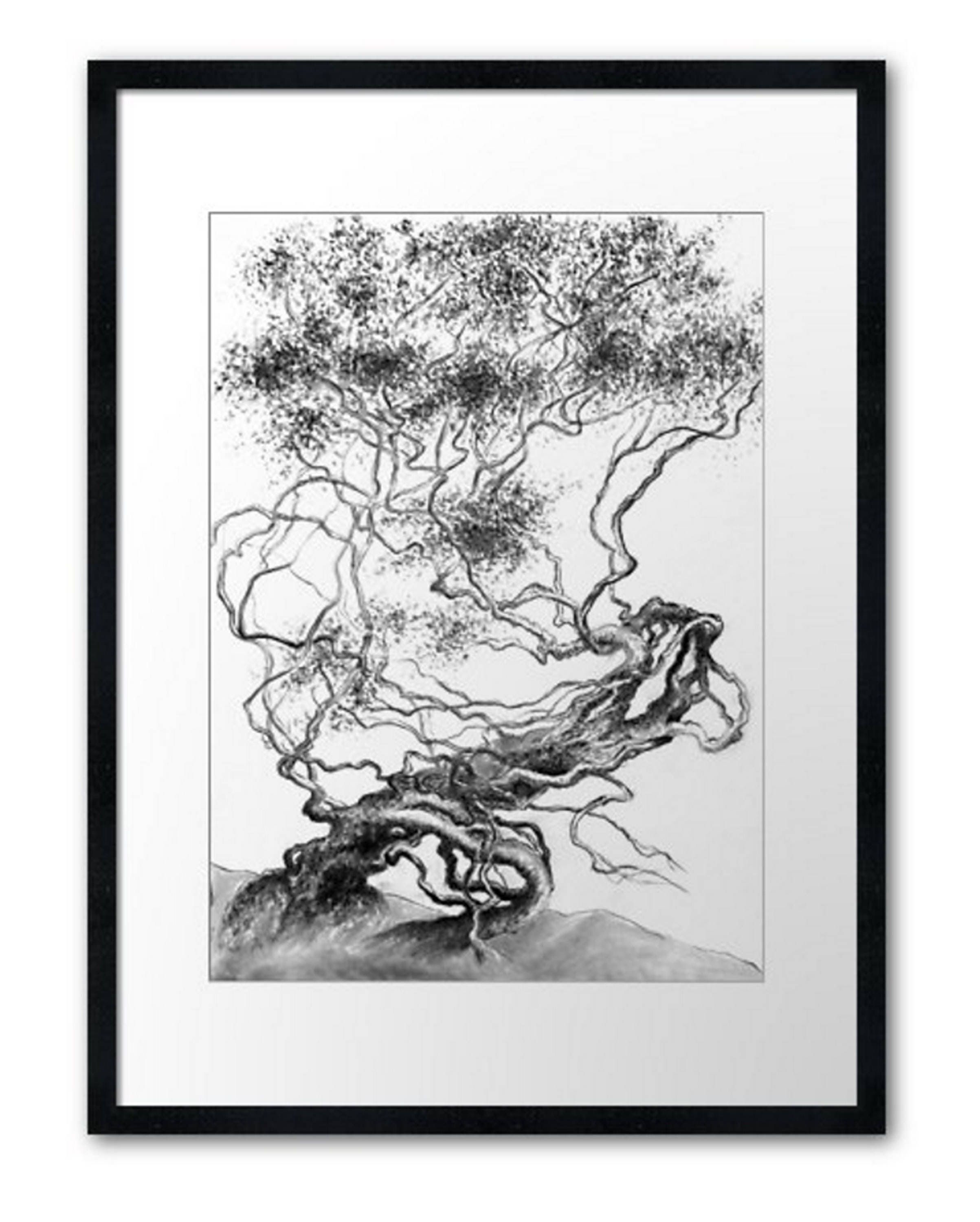 Tree Charcoal Drawing Art PRINT Forest Realistic Art Illustration ...