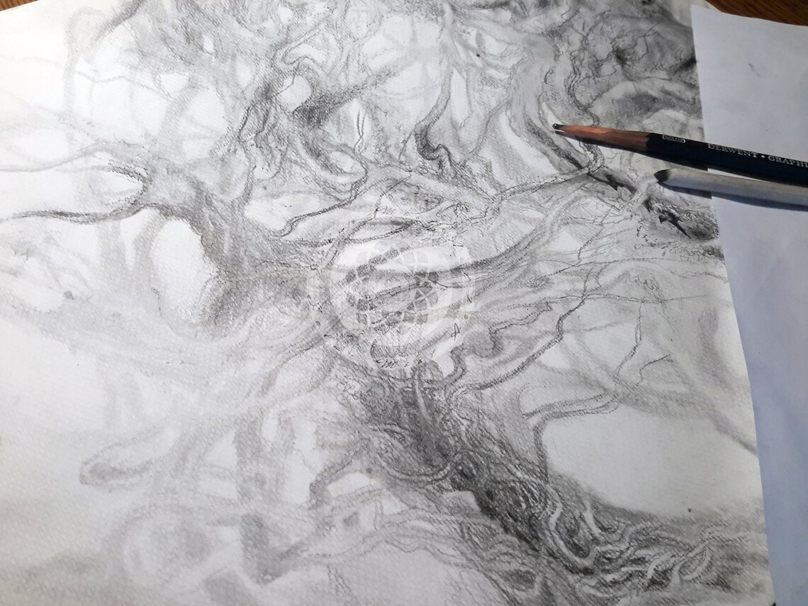 Forest Landscape Mystic Tree Pencil Drawing Surreal | Etsy