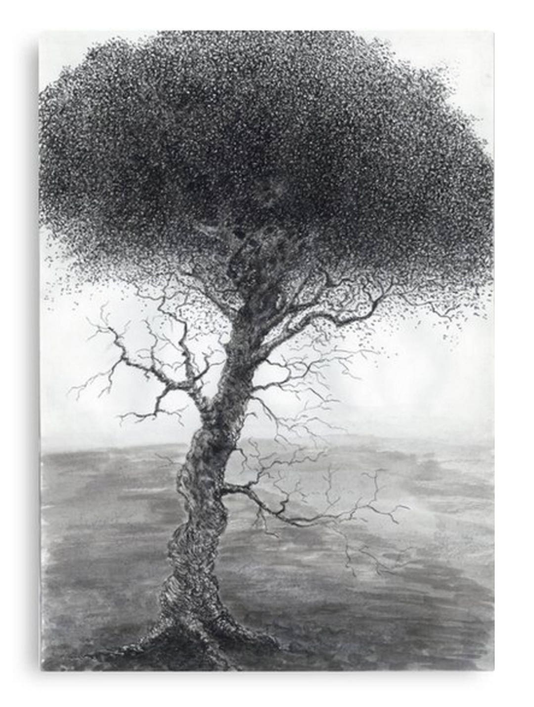 Ink Drawing Realistic Treeillustration Landscape Mystic Tree Painted ...