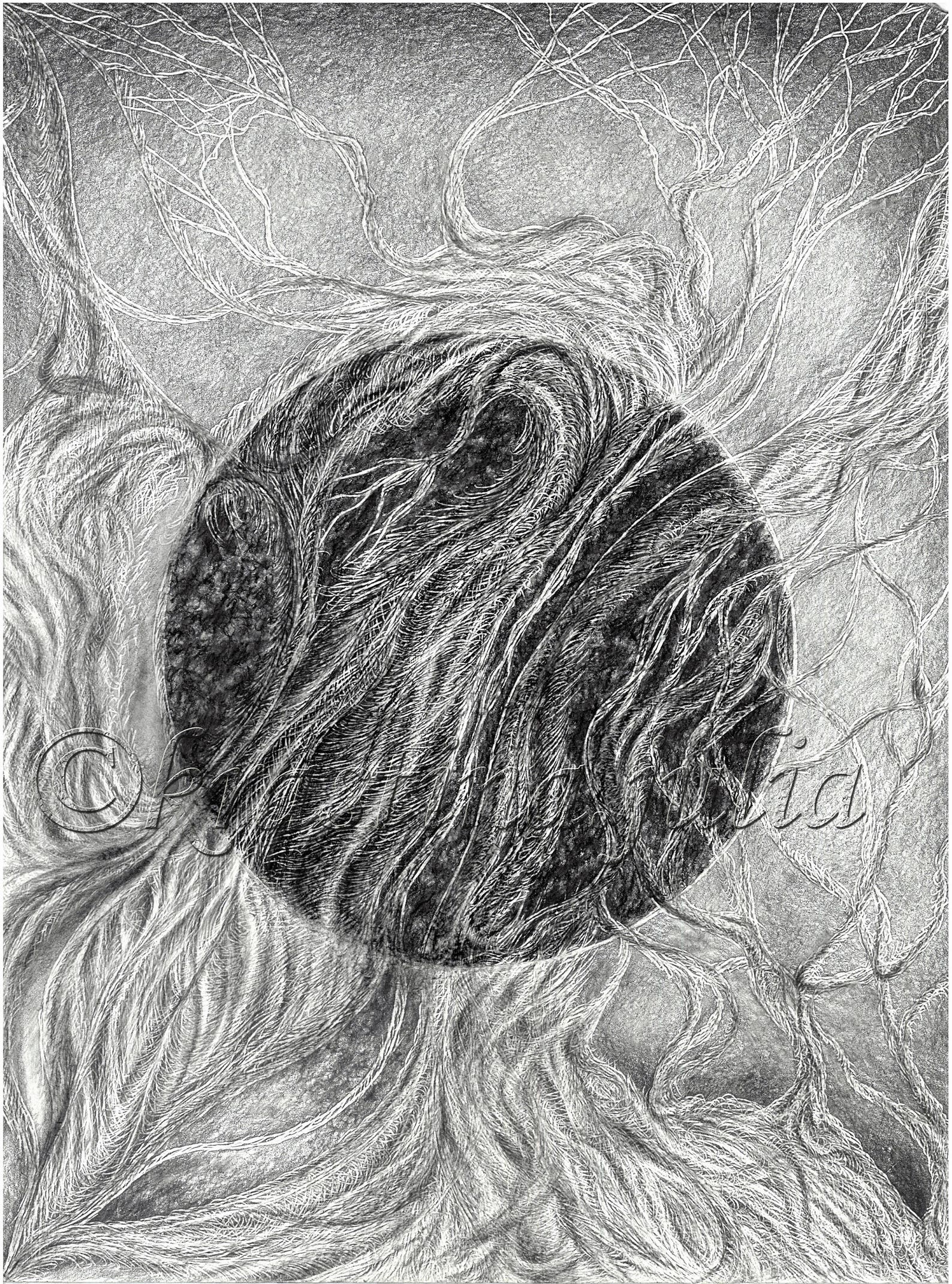 Art Prints Pencil Charcoal Circle Art Drawing Illustration - Etsy Denmark