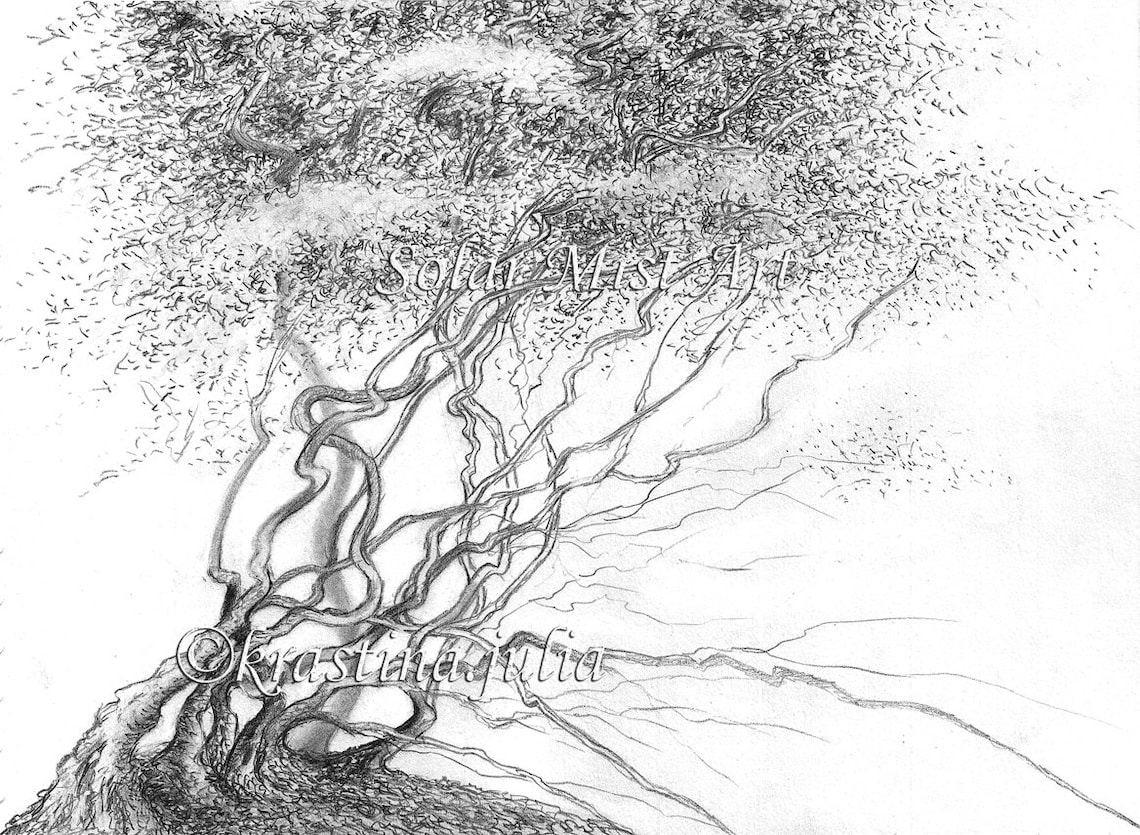 Original Pencil Drawing: Mystic Tree Forest Illustration, 5.78x7.75" - Etsy