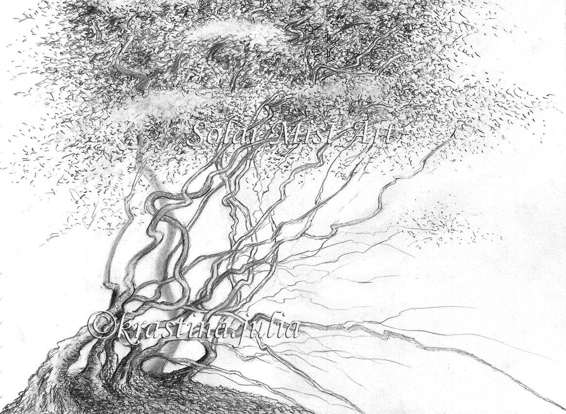 Pencil Drawing Of Tree Roots