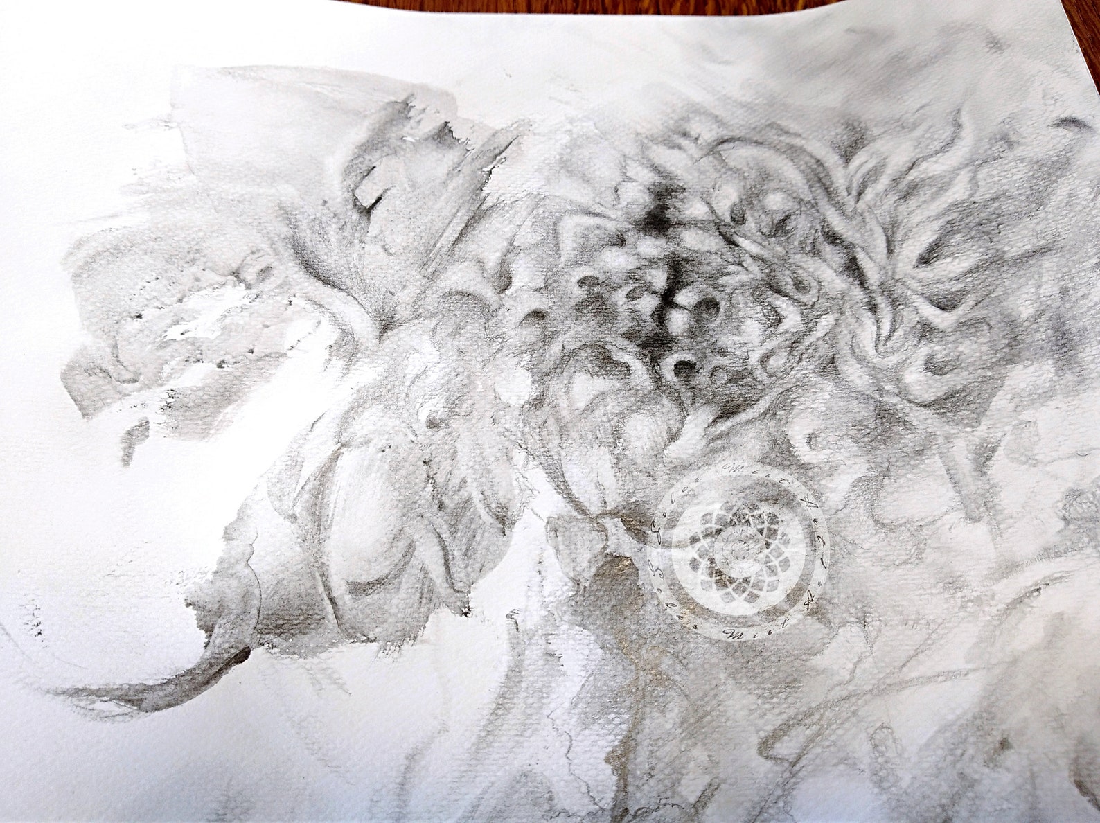 Flower Pencil Art: Surreal Mystic Blossom Drawing - Etsy