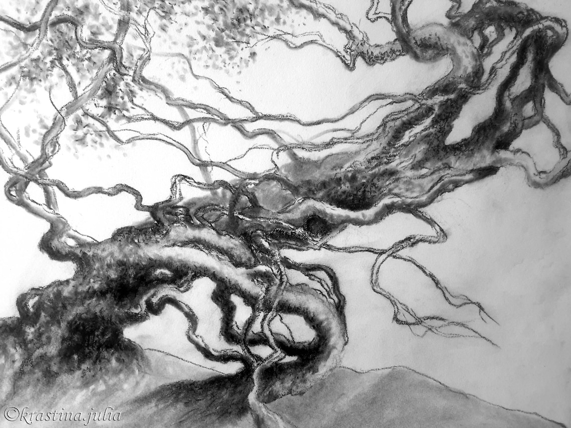 Charcoal Drawing Illustration Landscape Realistic Tree Hand Painted ...