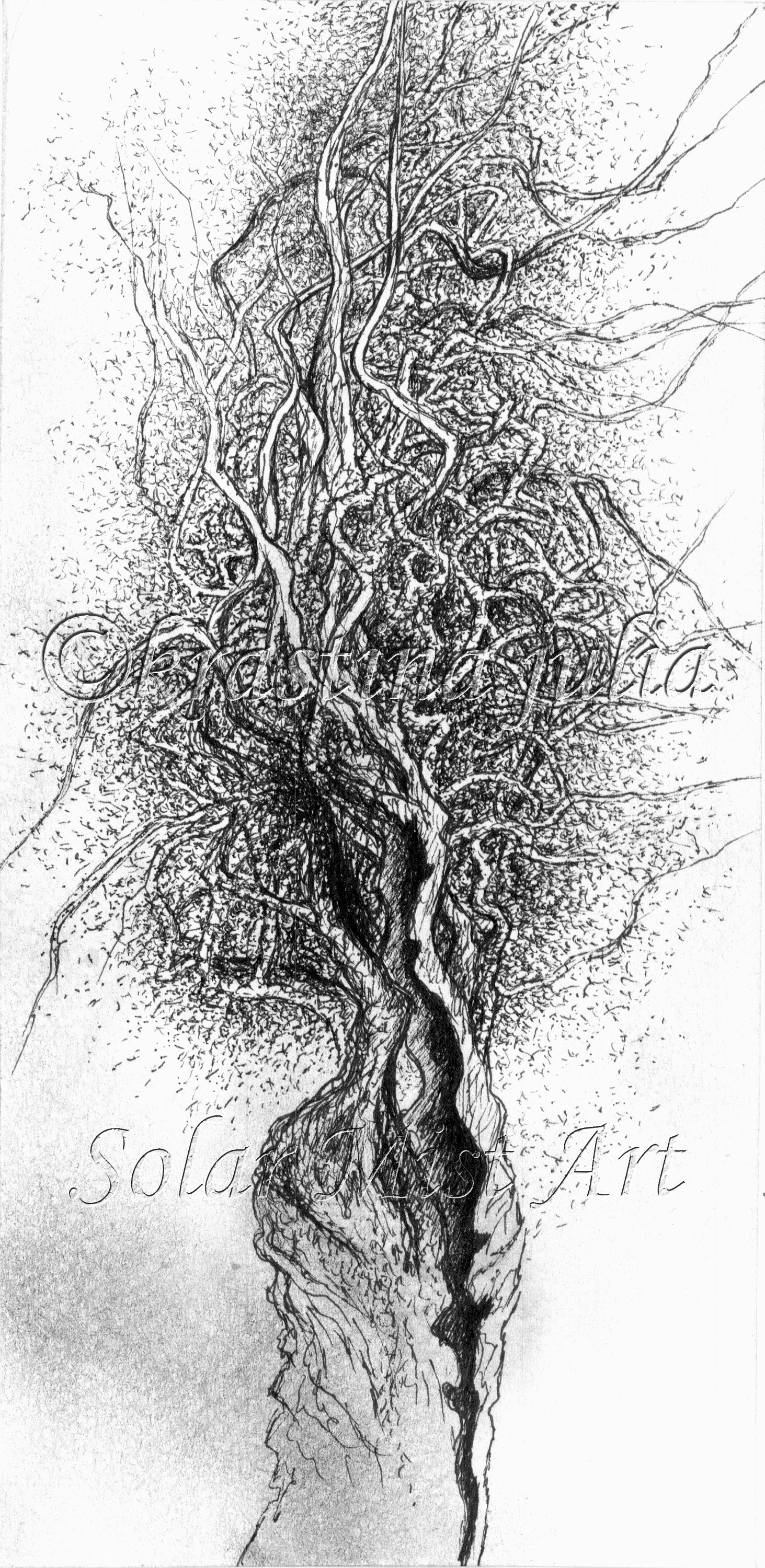 Tree Ink Drawing Art PRINT Forest Realistic Art Illustration Landscape ...
