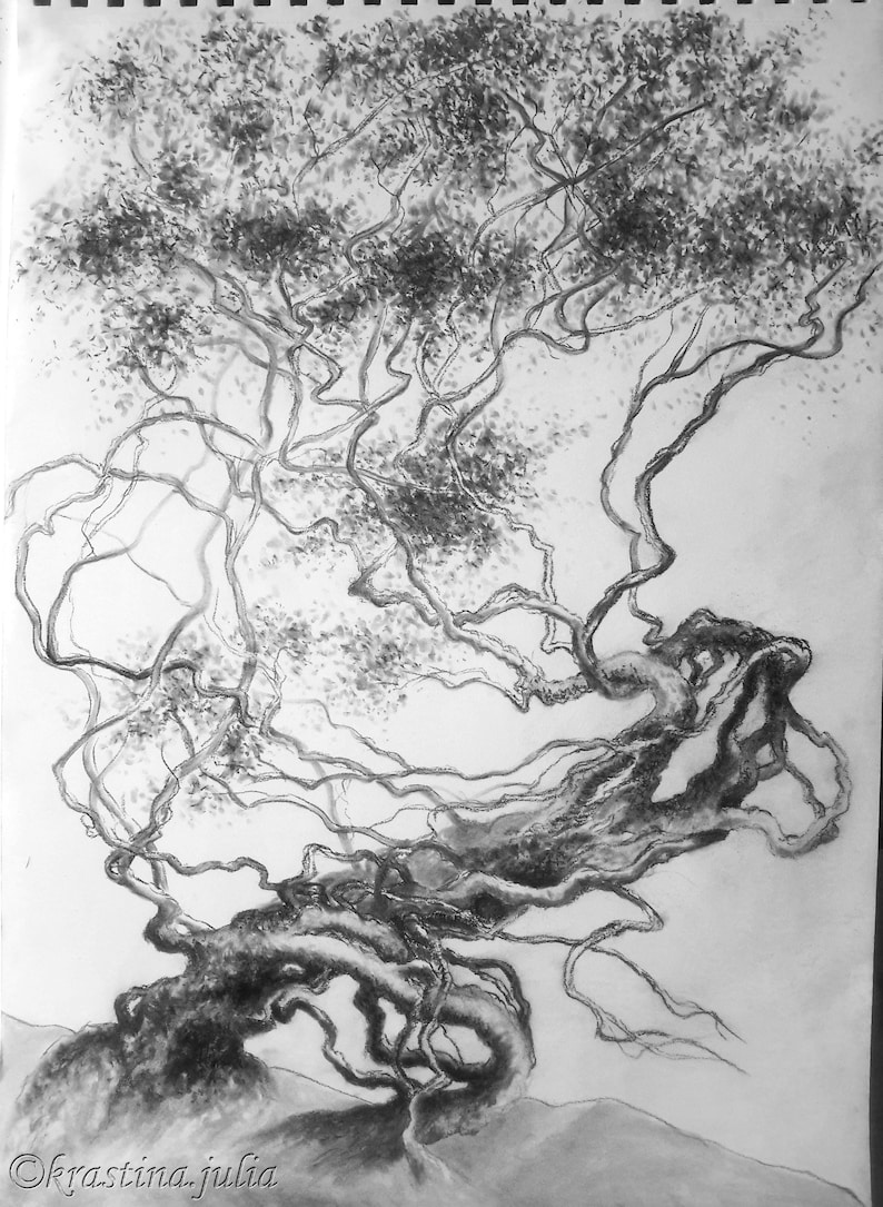 Tree Charcoal Drawing Art PRINT Forest Realistic Art - Etsy