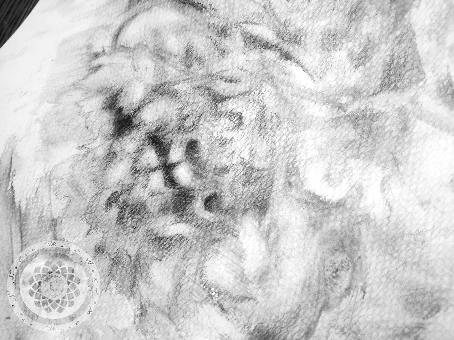 Flower Pencil Art: Surreal Mystic Blossom Drawing - Etsy