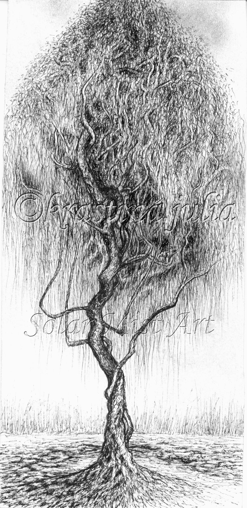 Tree Ink Drawing Art PRINT Forest Realistic Art Illustration | Etsy