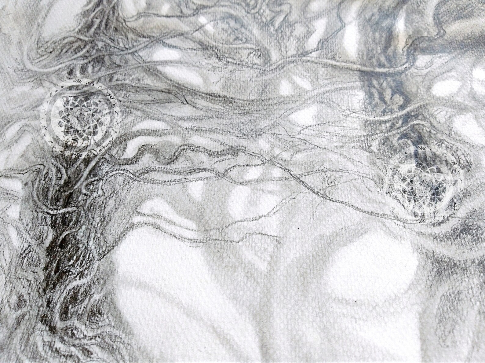 Forest Landscape Mystic Tree Pencil Drawing Surreal | Etsy