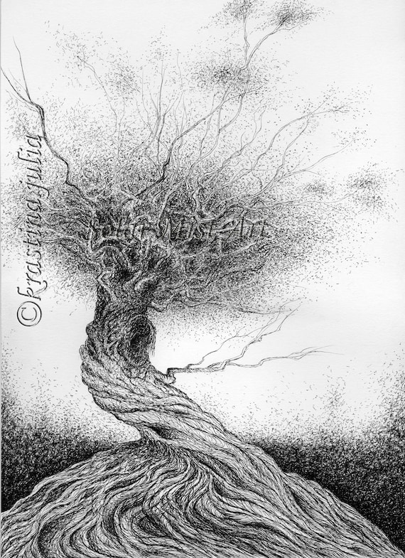 Pen And Ink Drawings Of Trees
