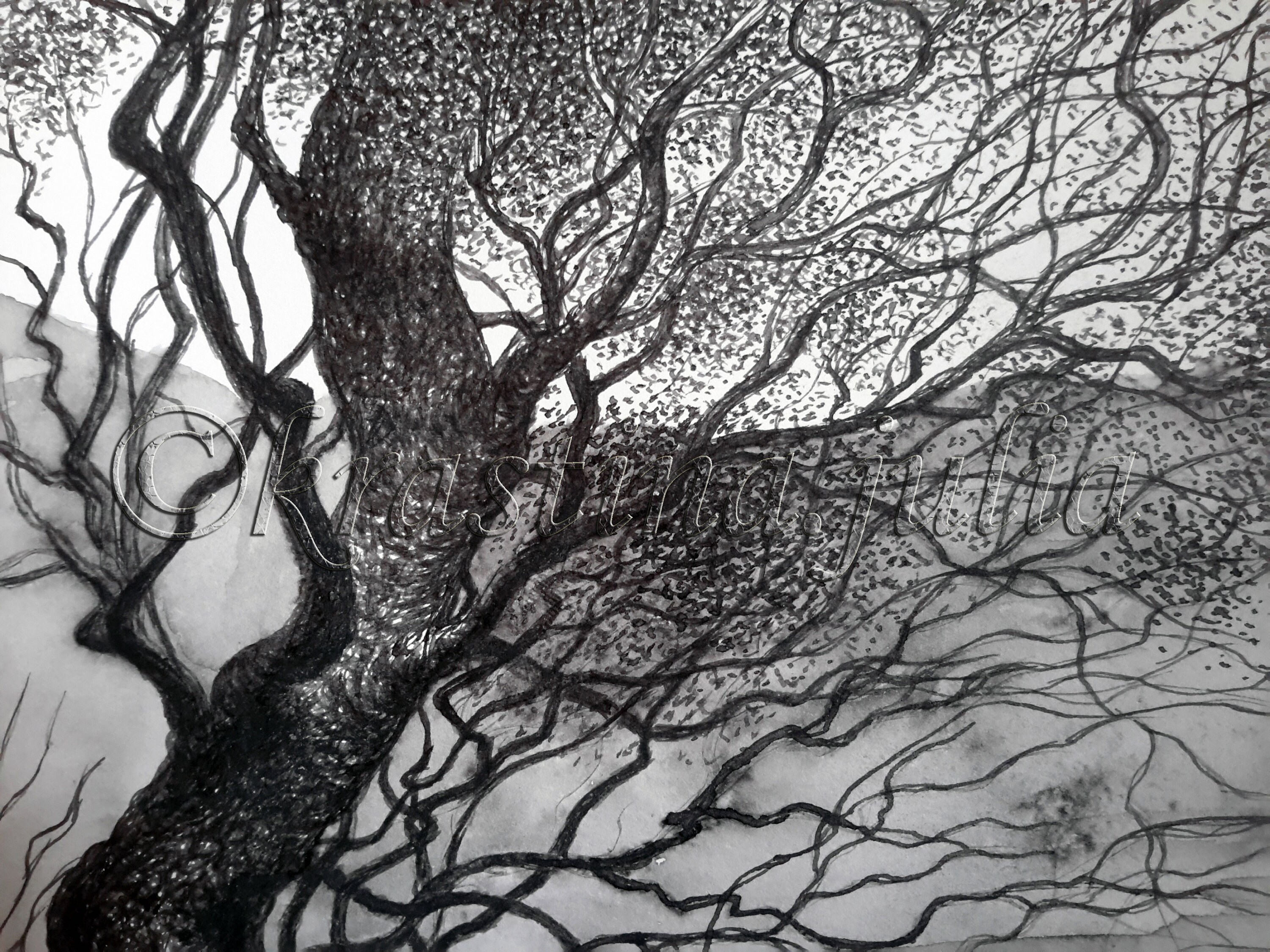 Tree Ink Drawing Art PRINT Forest Realistic Art Illustration Landscape ...