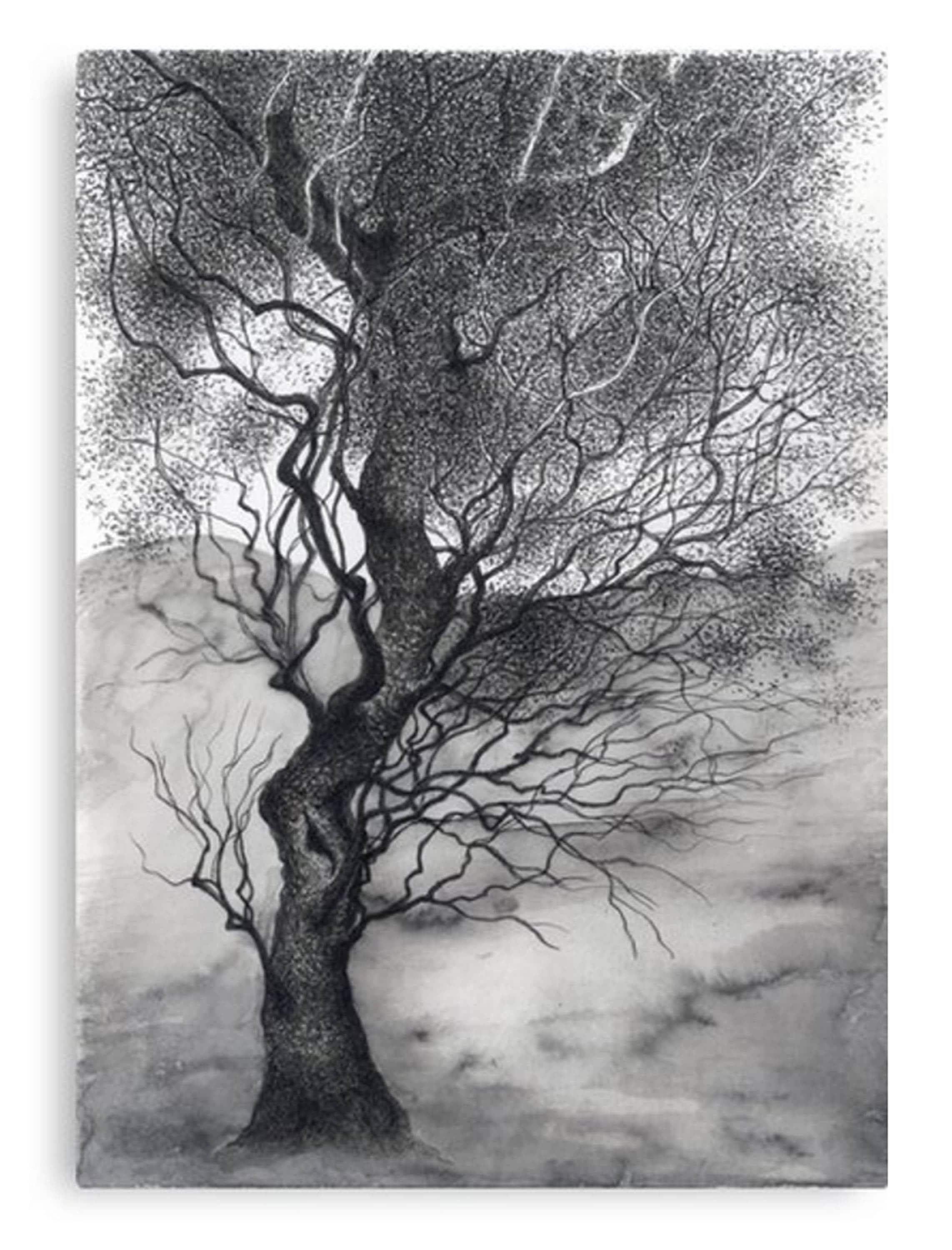 Dibujo De Tinta árbol Realista Ilustración árbol Paisaje Pintado A Mano Grafics Homedecor