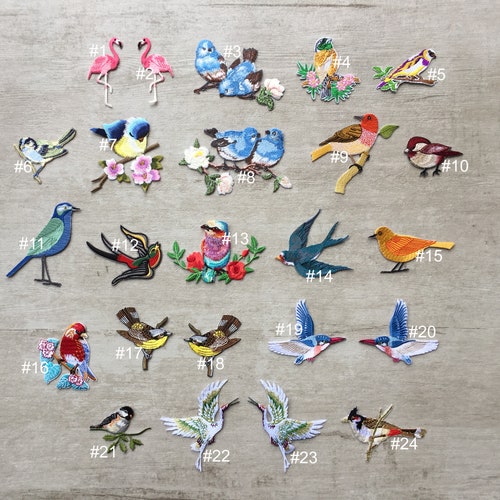 Lovely Birds Patch Kingfisher Bird Patch Parrot Iron on / - Etsy