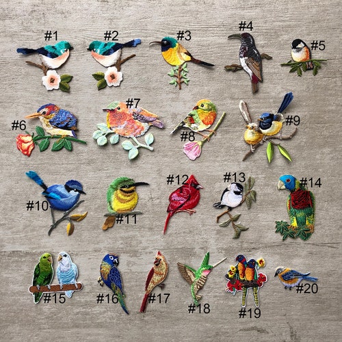 Lovely Birds Patch Kingfisher Bird Patch Parrot Iron on / - Etsy