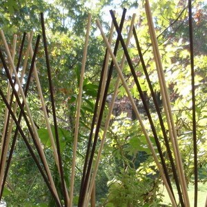 Reed Diffuser Sticks Refill 10 Natural Beige Replacement Rattan Reeds ...