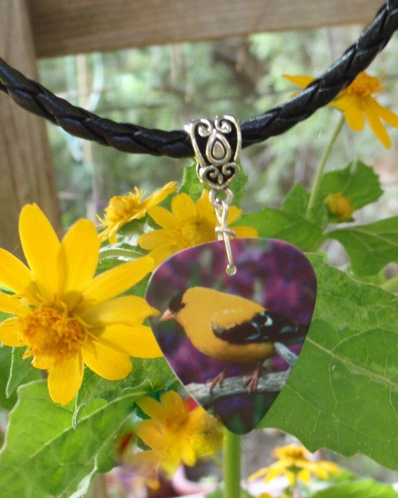 Nature Guitar Pick Jewelry Braided Necklace Choice | Etsy