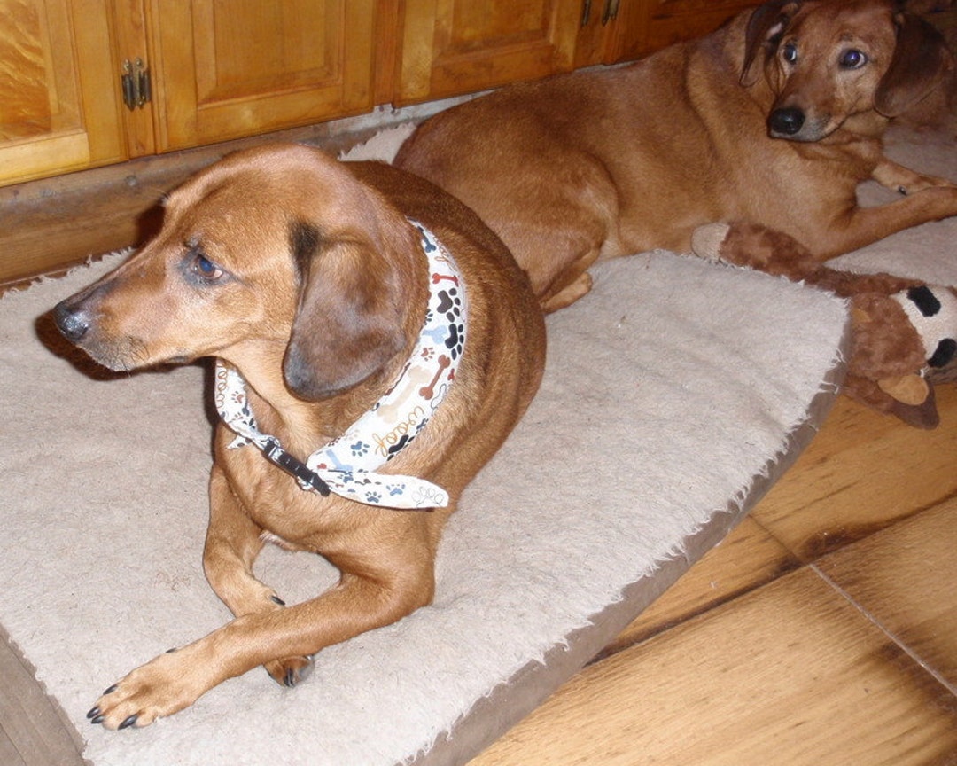 Dog Cooling Collar - Choice Size, Custom Color Cool Wrap - Neck Cooler ...